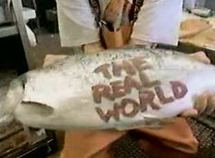 Real World Heading Back to Seattle – Stop Being Polite
